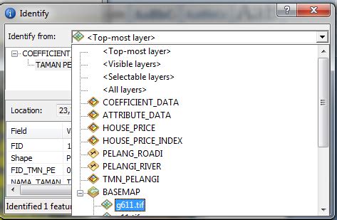 Selection Of Layer In Identify Function Download Scientific Diagram