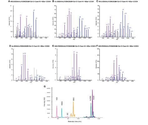 Set Up For Selective Reaction Monitoring Srm Assay For B Actin Download Scientific Diagram