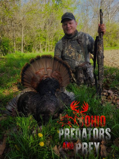 Ohio Predators And Prey Added A New Ohio Predators And Prey
