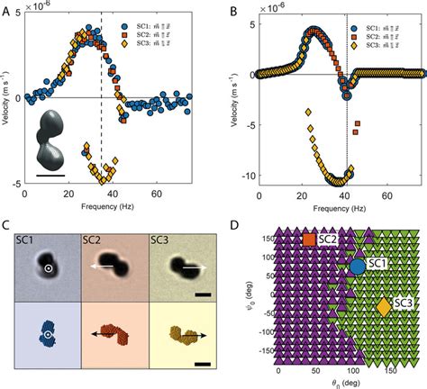 Influencing The Branching Behavior Through Different Starting