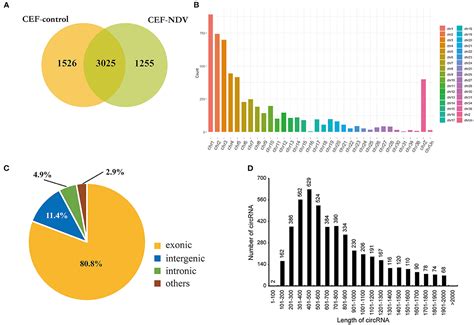 Frontiers Rna Sequencing Reveals Circrna Expression Profiles In