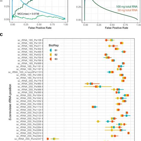 Pseudouridine Detection In Wt Yeast Rrna A Receiver Operating Download Scientific Diagram