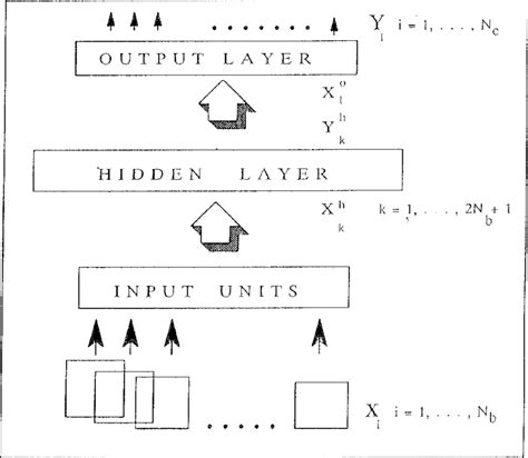 Three Layer Feedforward Neural Network Architecture Download Scientific Diagram