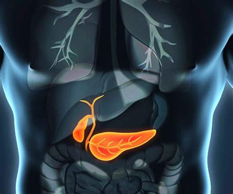 Ercp بیمارستان نیکان اقدسیه