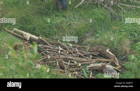 Creating Soil Stock Videos Footage HD And K Video Clips Alamy