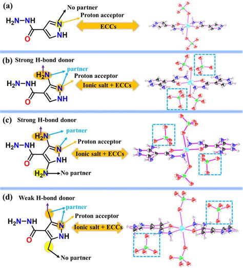 Reaction Of Four Substrates To Prepare Eccs Download Scientific Diagram