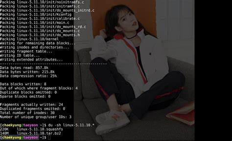 Squashfs Tools Ng 110 Brings Broken Tar2sqfs Compressed Tarball