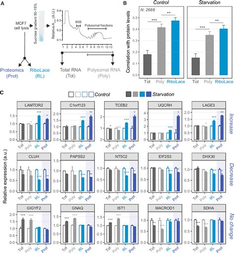Figure 4 From Edinburgh Research Explorer Active Ribosome Profiling With Ribolace Semantic Scholar