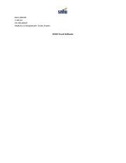 Expanding SNHU Travel With Trendy Vacation Packages Scrum Course Hero