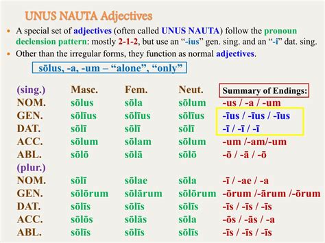 Ppt Pronouns And Unus Nauta Adjectives Powerpoint Presentation Free