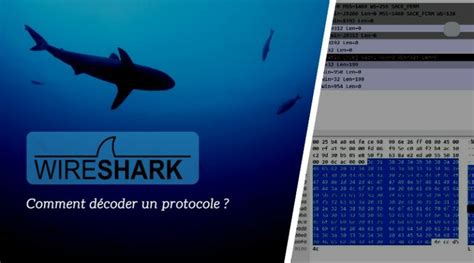 Wireshark Comment Décoder Un Protocole