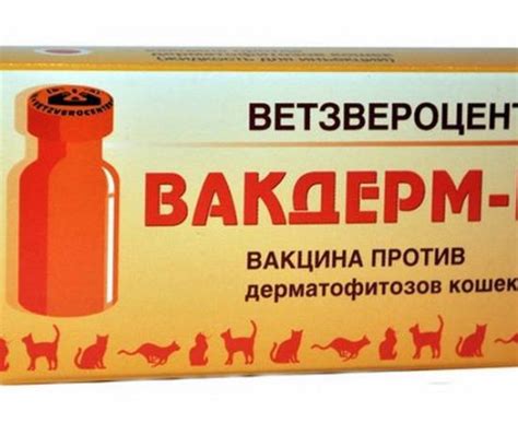 Квантум для кошек: отзывы, инструкция по применению, цена