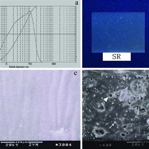 Distribution Of B Tcp In Silicone Rubber Sr Matrix A Particle Size Download Scientific