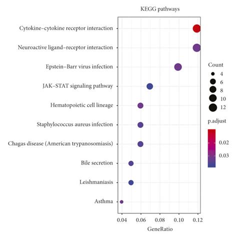 Comparison Of Spp1 Mrna Levels In The Frontal Cortex Of Rats A C Download Scientific