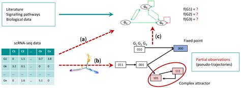 Single Cell Transcriptomics To Understand Hematopoietic Stem Cells Encyclopedia MDPI