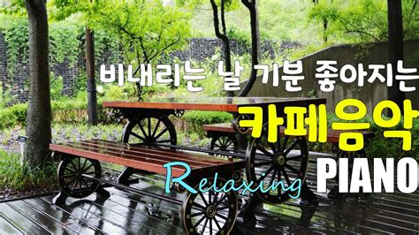 【광고없는】🌿비내리는 날 듣기 좋은 음악🌿감성피아노🌿비오는 날 듣기 좋은 음악🌿잠 안올 때 듣는음악🌿카페음악🌿매장음악🌿수면유도음악🌿스타벅스매장음악🌿심신안정음악🌿감성음악🌿
