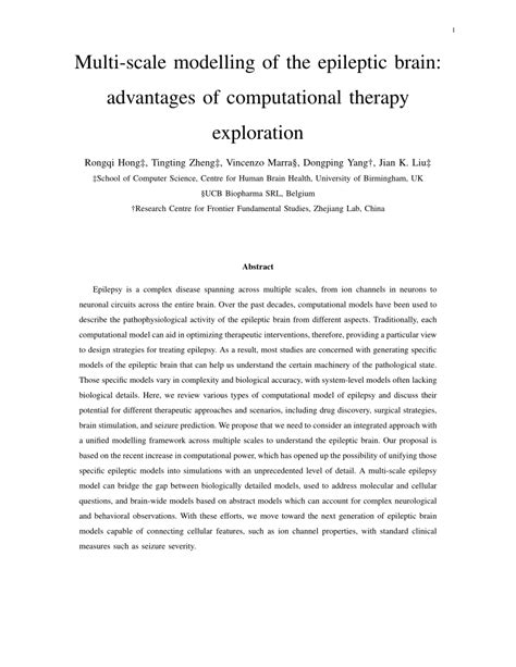 Pdf Multi Scale Modelling Of The Epileptic Brain Advantages Of Computational Therapy Exploration