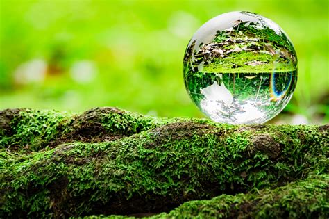 Issue 403 30 October 2023 Turner And Townsend Alinea