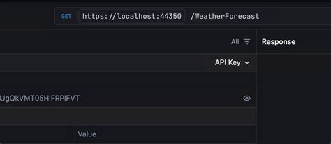 Net 9openapi And Scalarpassing An Api Key