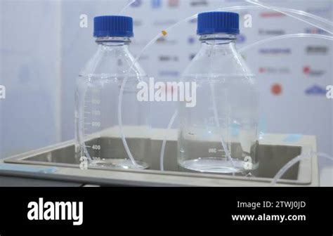 Glass Flask In The Laboratory Medical Laboratory Experiments Taking Samples For Water Analysis