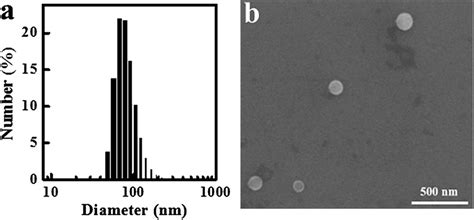 Dls A And Sem B Of Dex G Lamnl Nanomicelles These Nanoparticles