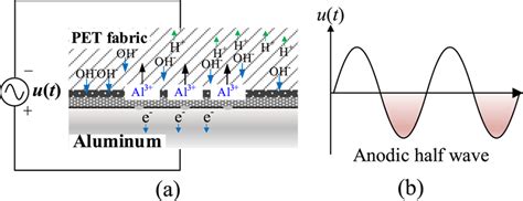 Alternating Current Corrosion Of Aluminium During Anodic Half Wave Download Scientific Diagram