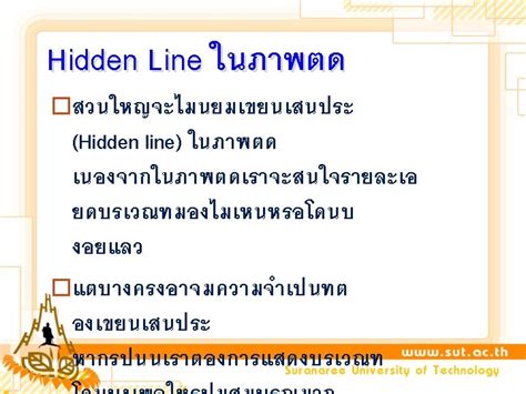 Basic Of Sectioning Section Line