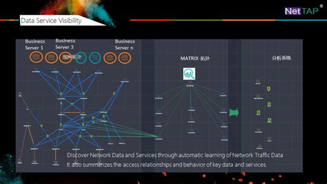 Nettap® Matrix Netinsight™ Network Traffic Data Visibility Of Data Service Visibility