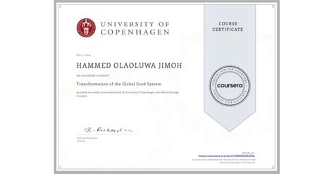 hammed olaoluwa jimoh pmp® ras on linkedin completion certificate for transformation of the