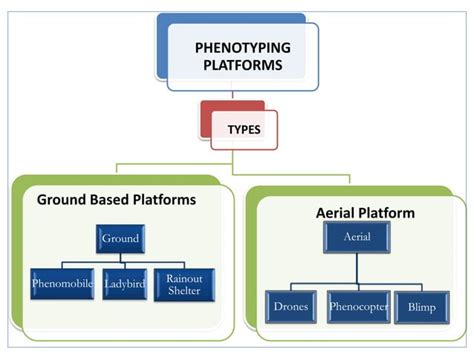 High Throughput Plant Phenotyping In Crop Improvement Pptx Agriculture Industries