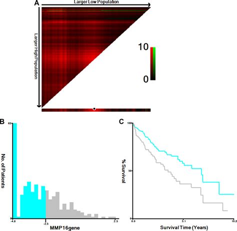 Determination Of Cut Off Values Of Mmp16 Expressions In Tcga Database