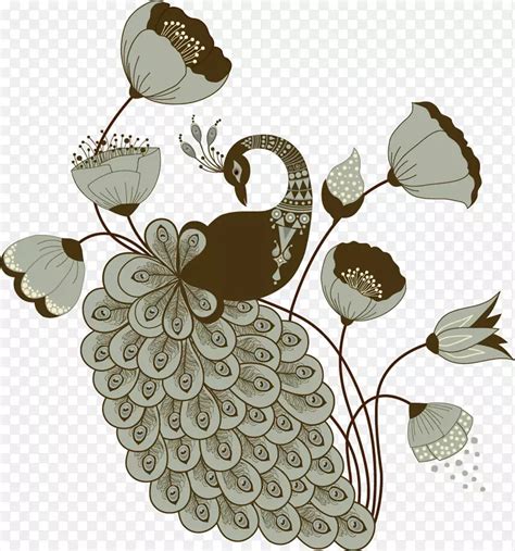 卡通手绘文艺简约孔雀动物插画设PNG图片素材下载 图片编号7510832 PNG素材网