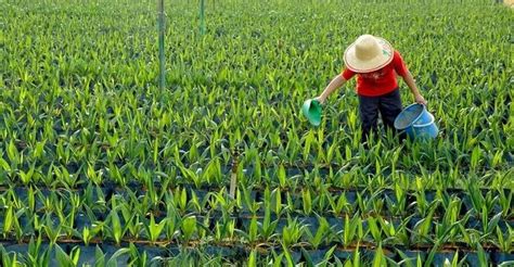 Home Accountability Framework