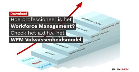 Workforce Management Volwassenheidsmodel Vlirdens