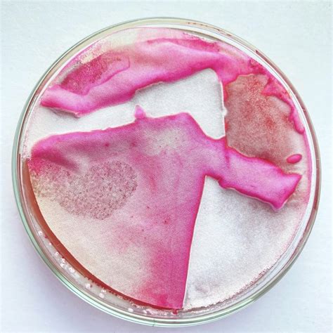 Colorifix Harnesses Bacteria For Non Toxic Clothes Dyeing