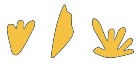 15974번 공룡 발자국