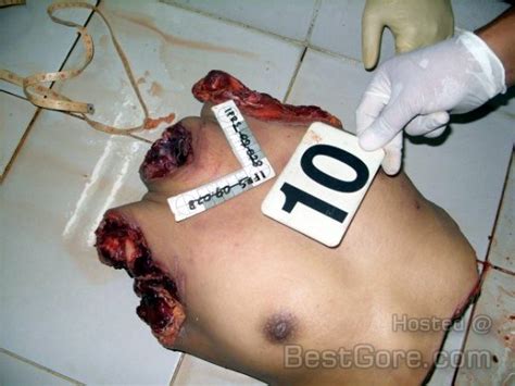 Naked Woman Cut In Half Xsexpics Com