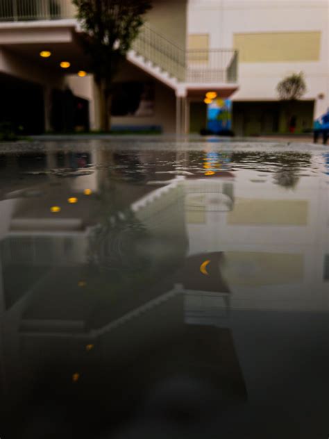 Post Processing Bee Creative With Seijas