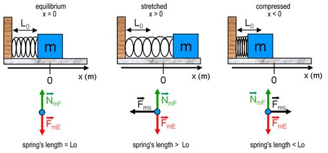 Spring Force Free Body Diagram Wiring Site Resource