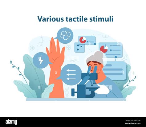 Various Tactile Stimuli A Scene Capturing Sensory Exploration With Touch And Scientific