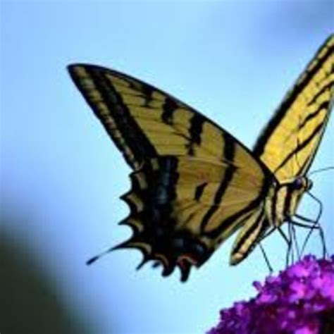 Mohamad Sakizadeh Faculty Member Shahid Rajaee University Tehran