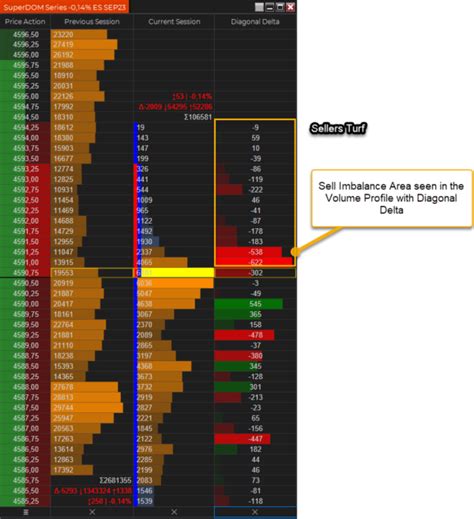Master Order Flow Trading With NinjaTrader A Compressive Guide