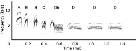 An Investigation Of Sex Differences In Acoustic Features In Black