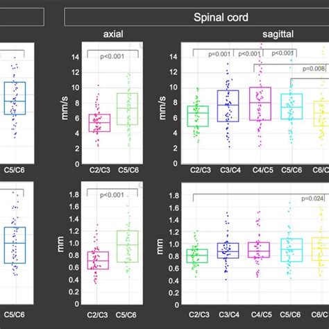 Boxplots Of Total Spinal Cord Displacement Stratied For Age Show Lower Download Scientific