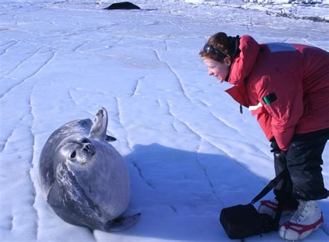 Amy Kirkham Hormones Reflect The Impacts Of Reproductive Rest On