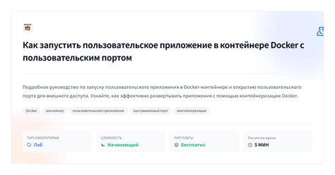 Запуск пользовательского приложения в Docker контейнере с настраиваемым портом Labex