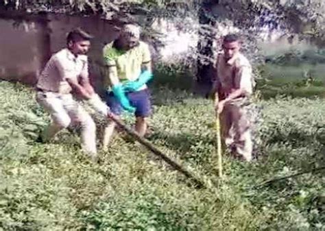 eight foot python spotted at telco vidya bharati chinmaya school the