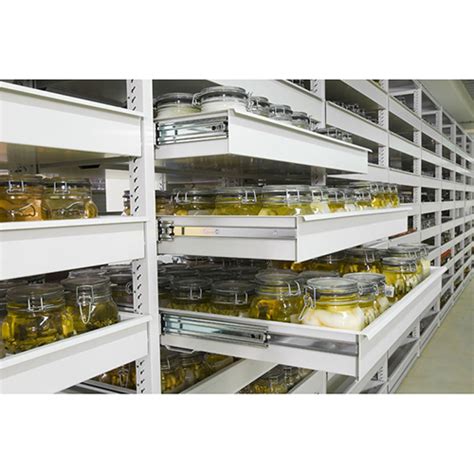 Drawer Type Storage System At 100000 00 Inr In Pune Nikhil Equipments Pvt Ltd