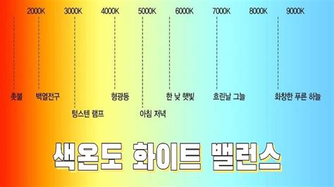 화이트 밸런스 조절