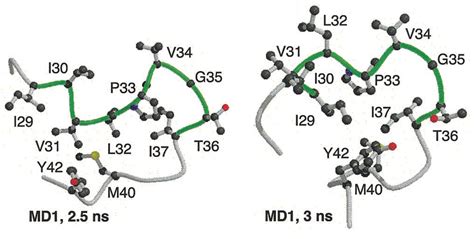 Hydrophobic Clustering Near The Center Of The Sequence The Main Chain